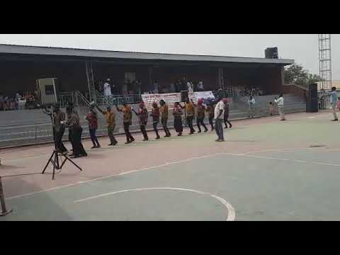 Videos | Fur Language and Culture